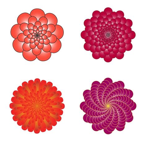 premium vector colorful vector flower icon design
