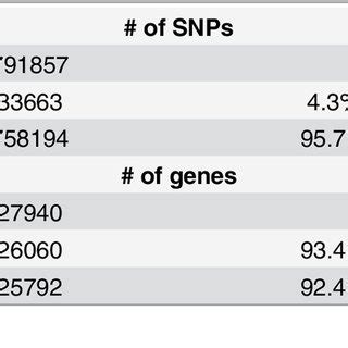 Summary Of SNP Analysis Download Table