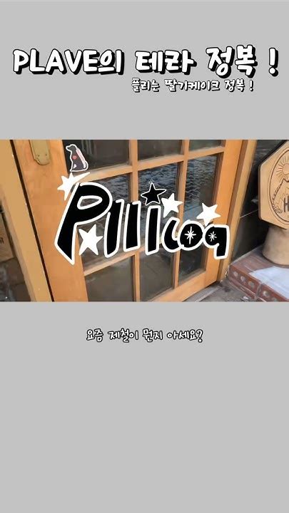 플리로그 플레이브는 테라 정복하고 플리는 먹는 영상플레이브 컴백 Youtube