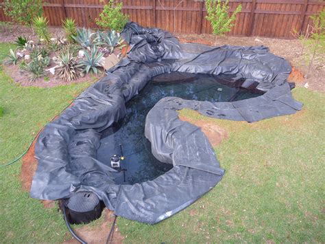 Part Pond Construction Filling Up Pond With Water Home Raised Aquatics Plants