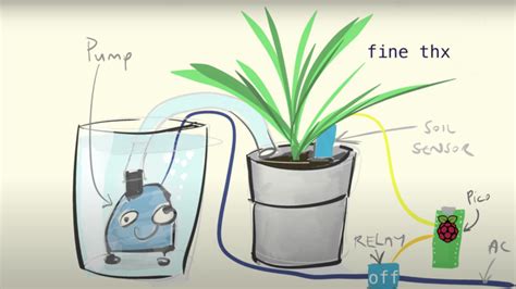 pico plant waterer raspberry pi
