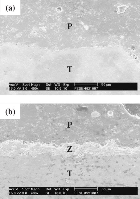 Sem Cross Sectional Microstructure Of A Single Porcelain Coating On