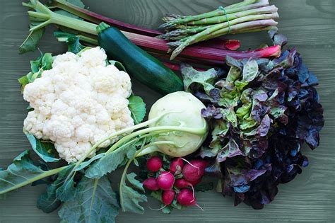 Planepass Vector Airport Systems