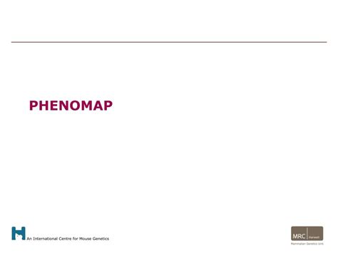 Ppt Mining Phenotype Databases To Identify Mouse Models Of Clinical Relevance Powerpoint