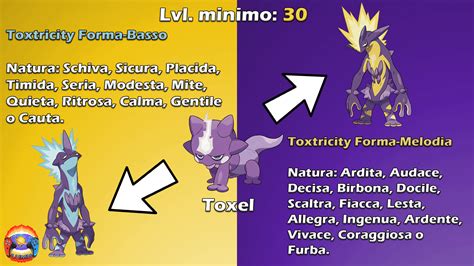 Come Far Evolvere Toxel In Toxtricity 𝐋𝐔𝐌𝐘𝐕𝐄𝐑𝐒𝐄