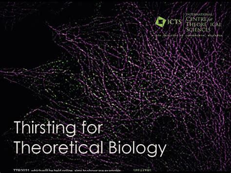 Free Video Turings Reaction Diffusion System And Agent Based Models