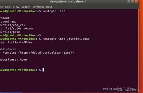 Ros通信实操（小乌龟通信实现）（九）c、python采用参数通讯方式编写一个节点控制乌龟的的颜 色和绘制的线条乌龟相关信息在 Csdn博客