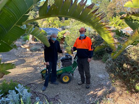 Tree Service Mornington Cut It Right Tree Service Pty Ltd