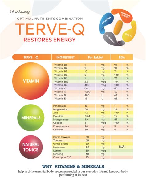 Terve Q Tablet Dr Wellness