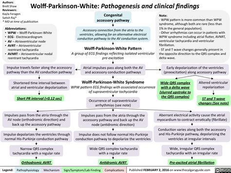 a flow chart with different types of information and text on it