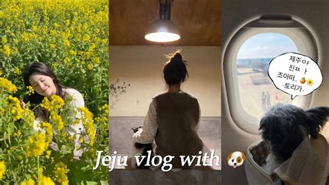 Vlog네 강아지랑 제주 여행을 한다구요 힐링 그 자체 모녀 제주 여행 🐶🍊part2애견동반숙소 갈치조림 맛집