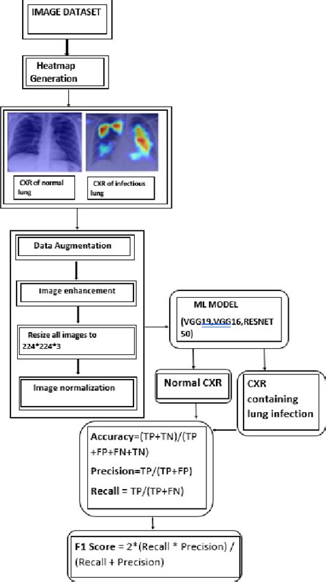 Figure 2 From Lung Infection And Identification Using Heatmap Semantic Scholar
