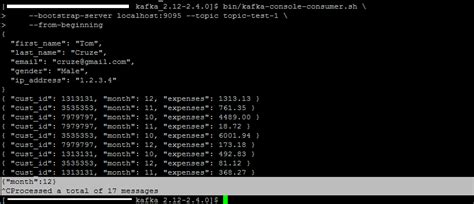 Popular Absorber Motel Kafka Console Producer Json Esmerado Flor De La Ciudad Comprador