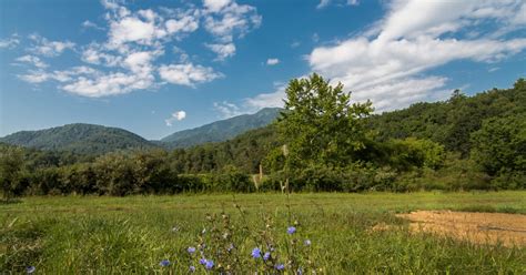 Acep Ale Success Story Bowditch Bottoms Land Trust Alliance