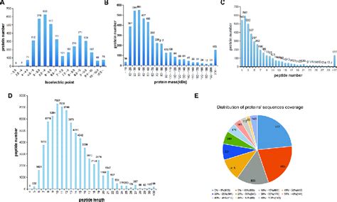 Identification And Analysis Of The Testicular Tissue Proteome
