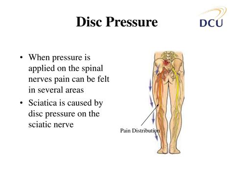 Ppt Manual Handling Training Powerpoint Presentation Free Download