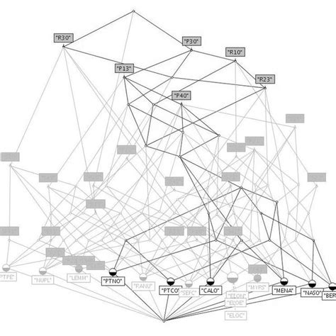 The Galois Lattice Built From Three Traits Of The Pattern Table