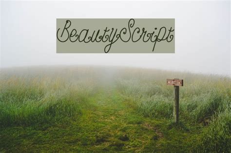 BeautyScript Font FFonts Net