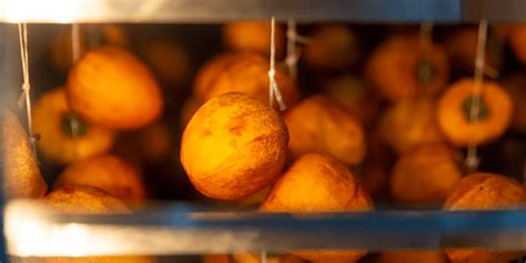 აღმოაჩინე კერკის მშრალი ხილი მშრალი ხილის საწარმო