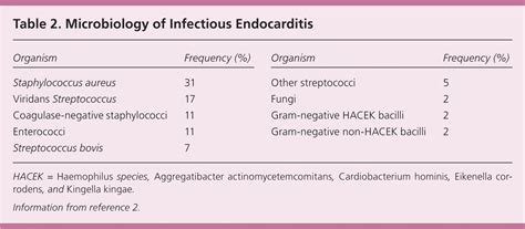 Endocarditis Pathophysiology