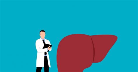 The Importance Of Choosing A Good Liver Function Testing Doctor