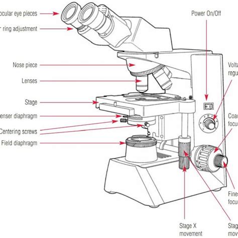 Microscope Components Download Scientific Diagram