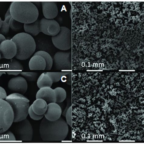 Ftir Spectra Of Capsaicin Phospholipids Physical Mixture And
