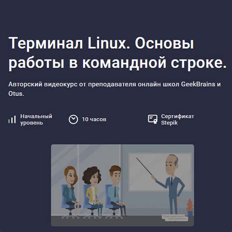 Stepik Терминал Linux Основы работы в командной строке 2024
