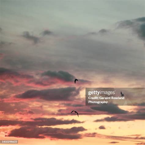 Square Computer Screen Photos And Premium High Res Pictures Getty Images