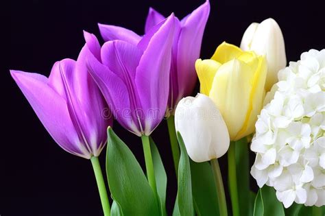 on the right side of the screen a dark background is offset by a large