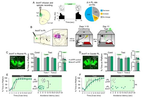 Figures And Data In Active Avoidance Requires Inhibitory Signaling In