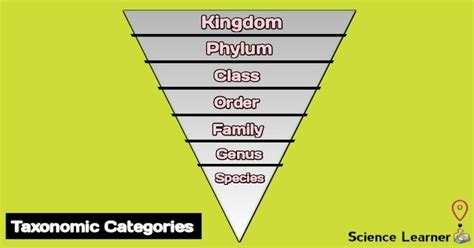 Science Learner Spot Education