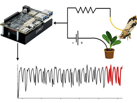 Lamp Fpga Accelerating Time Series Similarity Prediction