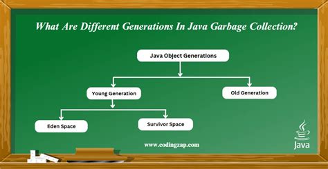 what are some garbage collection algorithms in java codingzap
