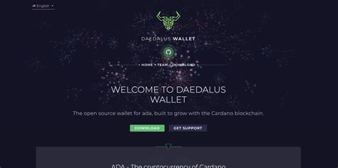 How To Add Cardano To Metamask