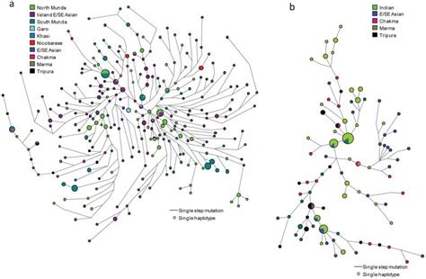 The Network Was Constructed Using A Median Joining Algorithm As