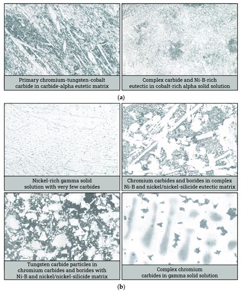 Different Microstructure That Can Be Formed During A Cobalt Based Download Scientific Diagram