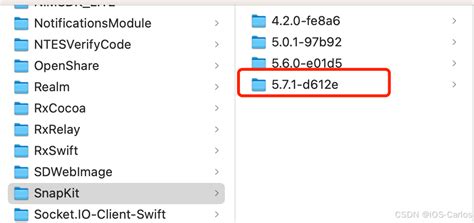 Pod Install 报错处理 Csdn博客