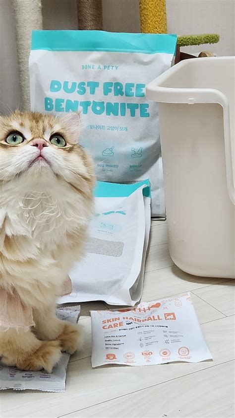 설이🤍콩이🧡 Seol1112 • Instagram Photos And Videos