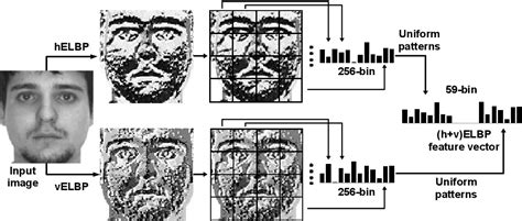 Figure 1 1 From Contributions To Facial Feature Extraction For Face Recognition Semantic Scholar
