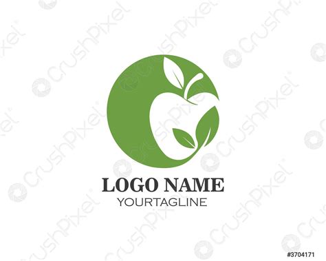 Apple Vector Illustration Stock Vector 3704171 Crushpixel