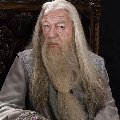 Albus Dumbledore Nelson Wizard Story Wiki Fandom