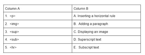 Html Basics Important Questions Class 10 Computer Application Pdf