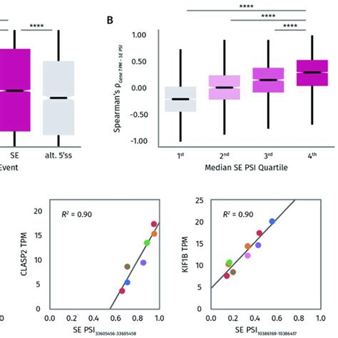 Splicing Efficiency And Increased Gene Expression Are Coupled A Download Scientific Diagram