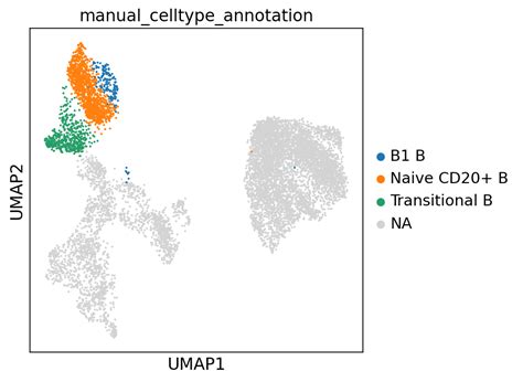 11 Annotation — Single Cell Best Practices