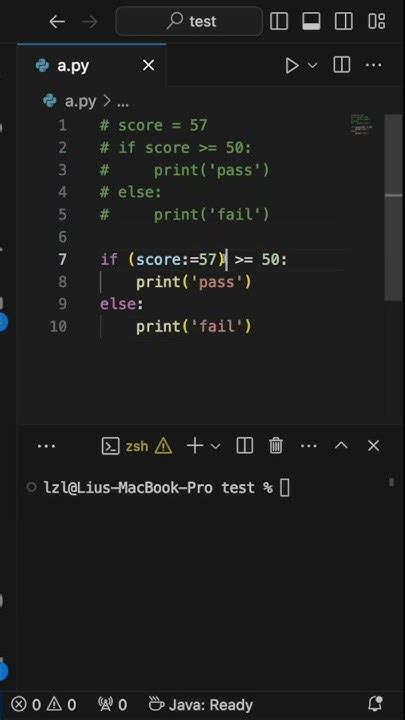 Walrus Operator In Python Python Pythonprogramming Pythontutorial