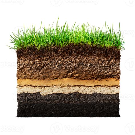 The Soil Layer Is Shown With Grass And Dirt 58072261 Png