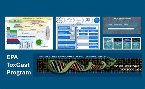 Recent Updates To Epas Toxcast Program And Why We Care Alto Predict