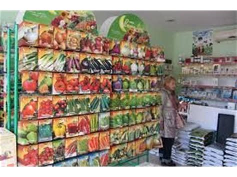 Купуване на семена Зеленчукова градина Полезни съвети Български
