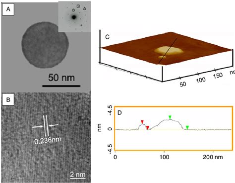 A A Representative Tem Image Of One Individual Silver Nanodisc With Download Scientific